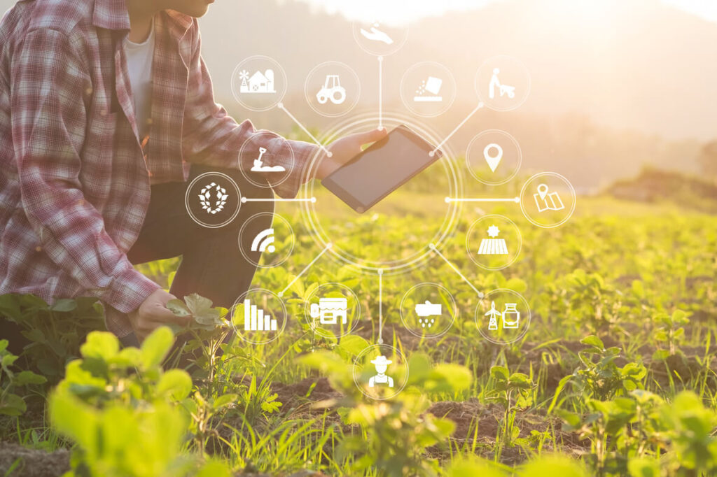 IOT NO CAMPO: UMA REVOLUÇÃO NA AGRICULTURA INTELIGENTE